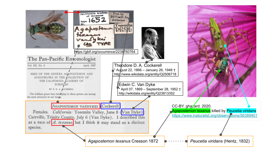 Bee-hind the Scenes: Documenting Digital Traces of Prominent Natural ...